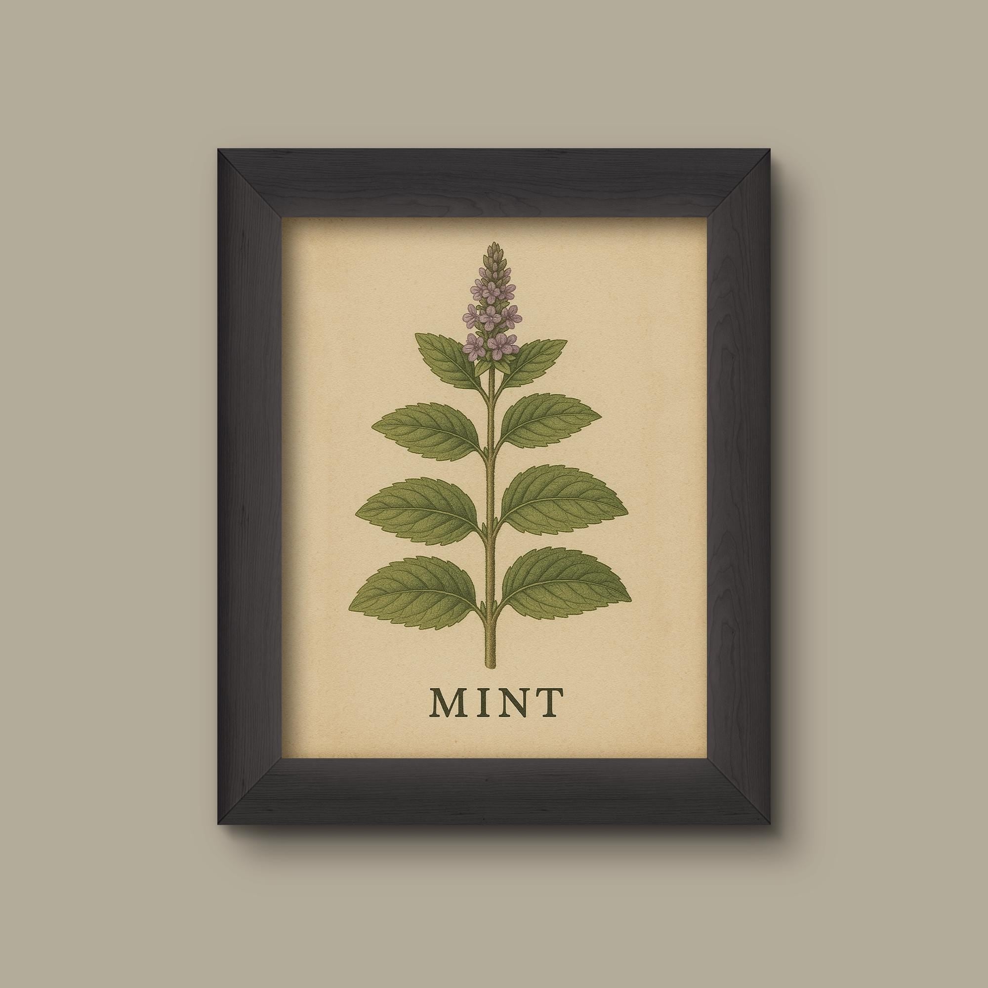 Vintage Mint Botanical Art Print – Fine Art Print – Prints Charming Art